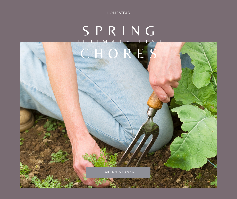 The Ultimate Spring Homestead Chore List - Baker9