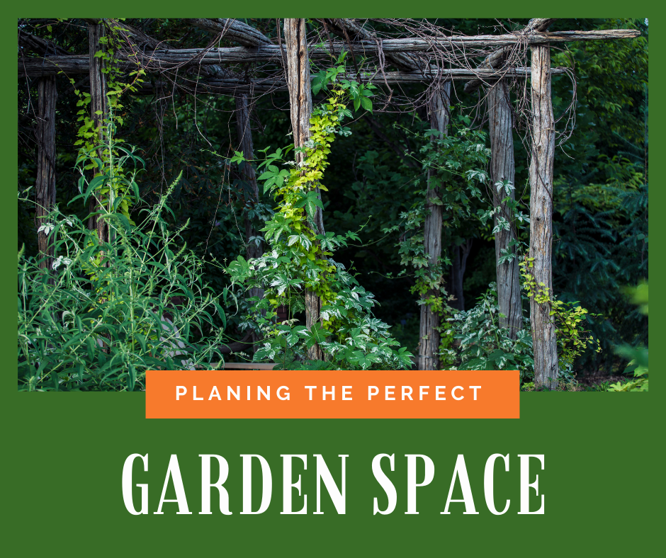 How to Plan Your Perfect Vegetable Garden - Baker9