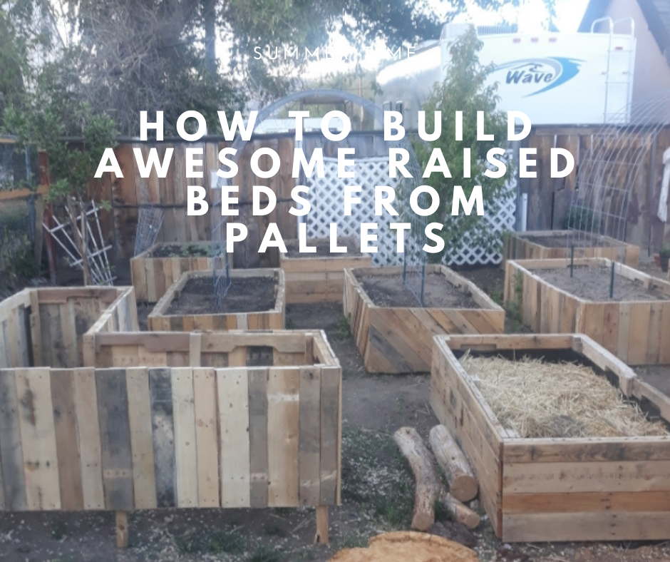 Building Amazing Raised Garden Beds From Pallets for Practically Free ...
